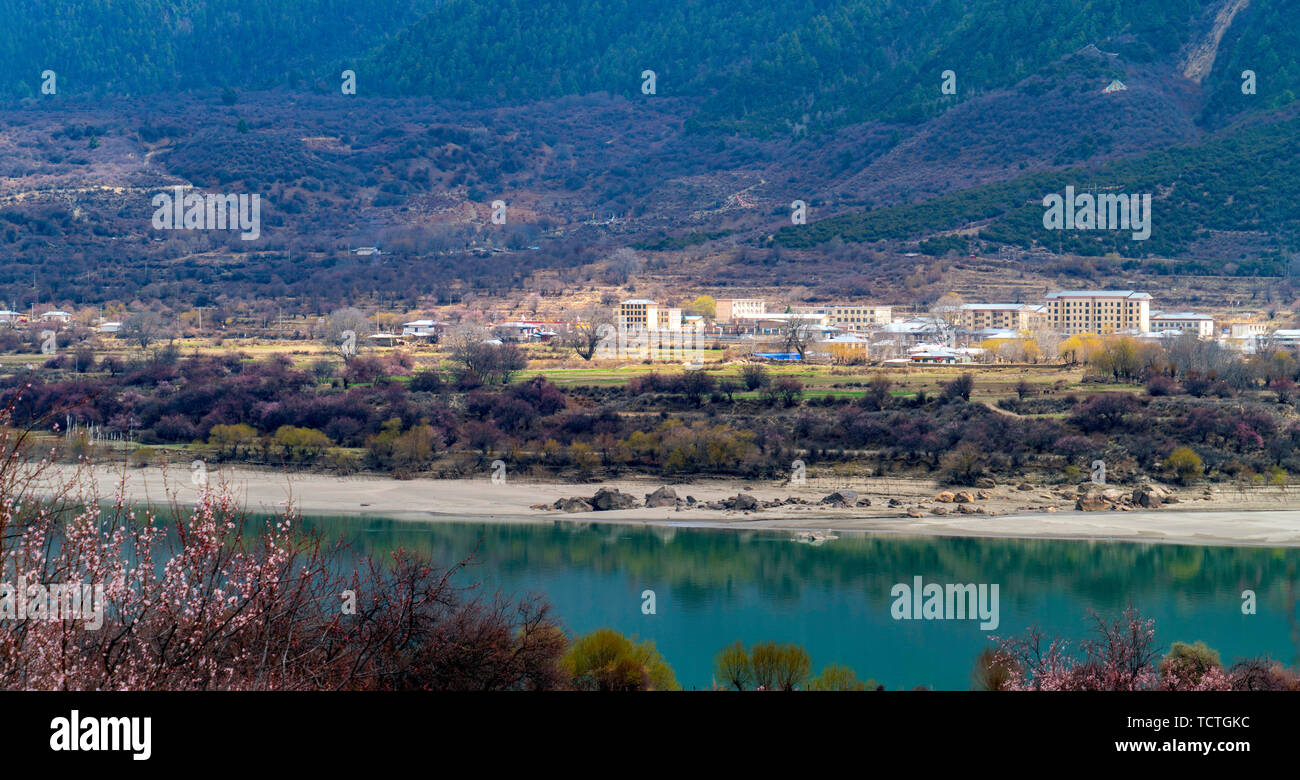 Lin zhi hi-res stock photography and images - Alamy
