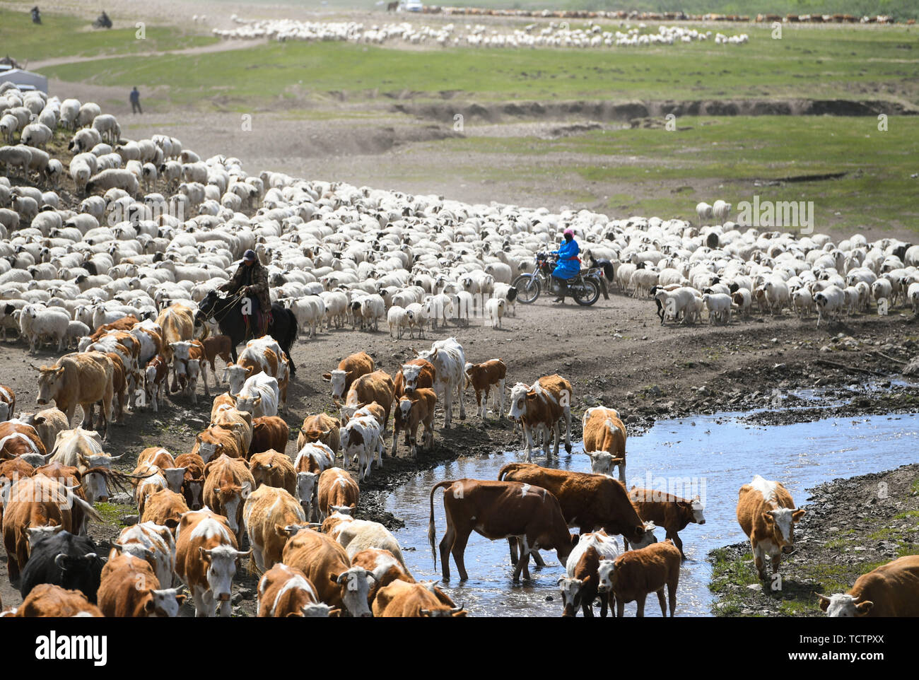 Nomadic migration route hi-res stock photography and images - Alamy