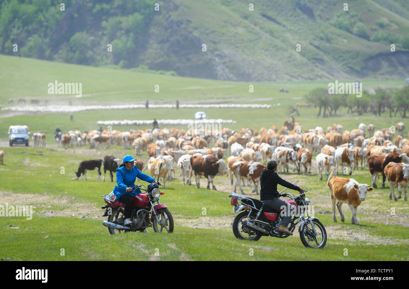 Important migration route hi-res stock photography and images - Alamy