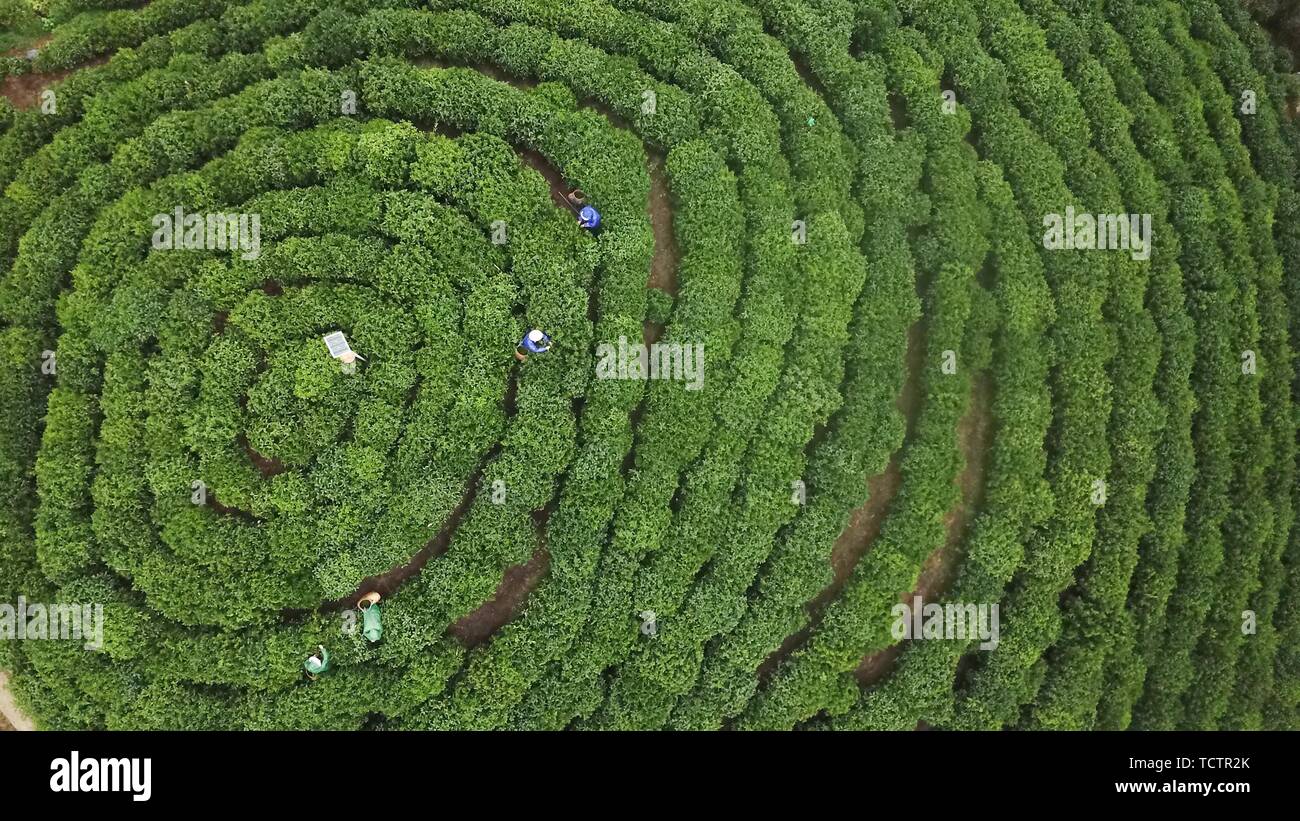 Nature in man made environment hi-res stock photography and images - Alamy