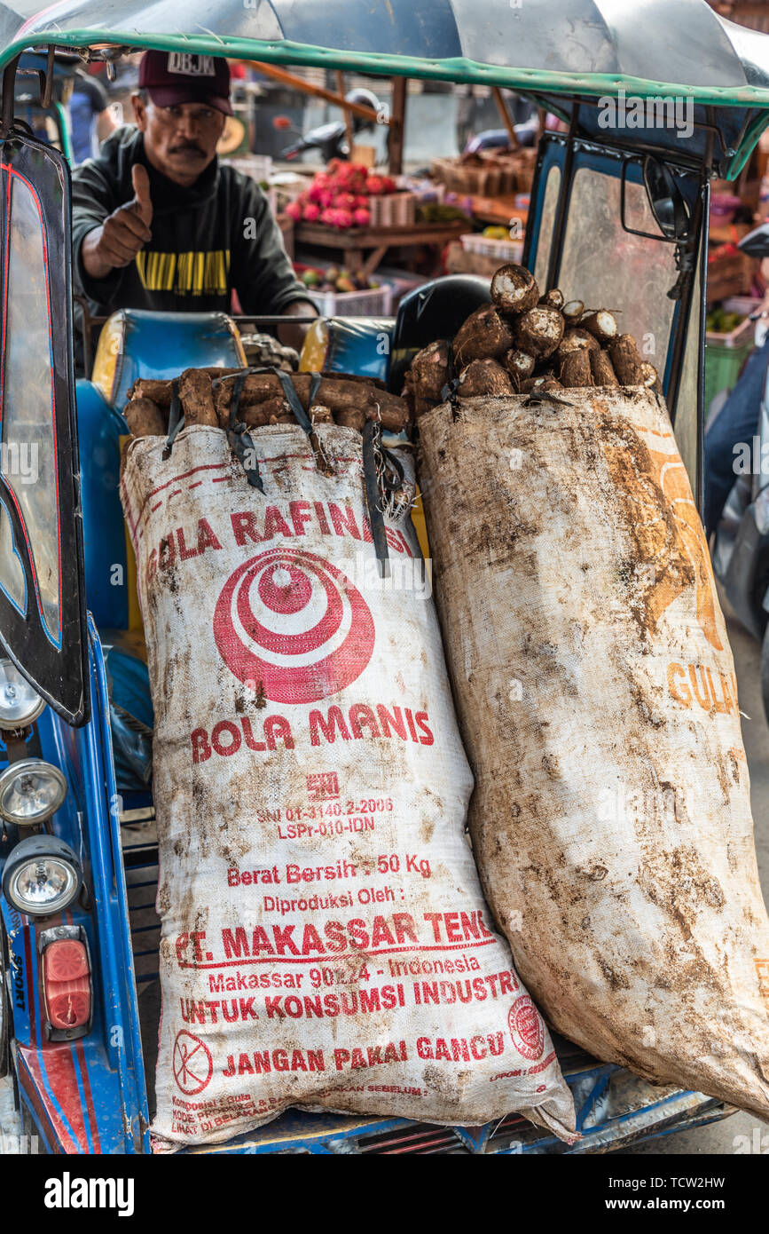 Tapioca roots hi-res stock photography and images - Alamy