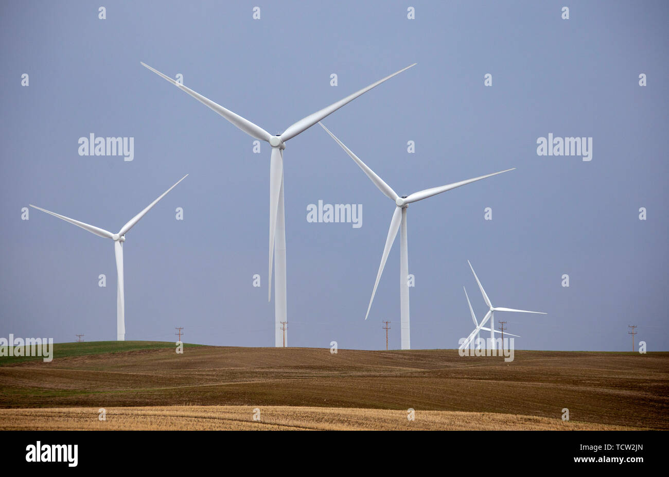 Prairie Wind Farm in Saskatchewan Canada Turbine Stock Photo - Alamy