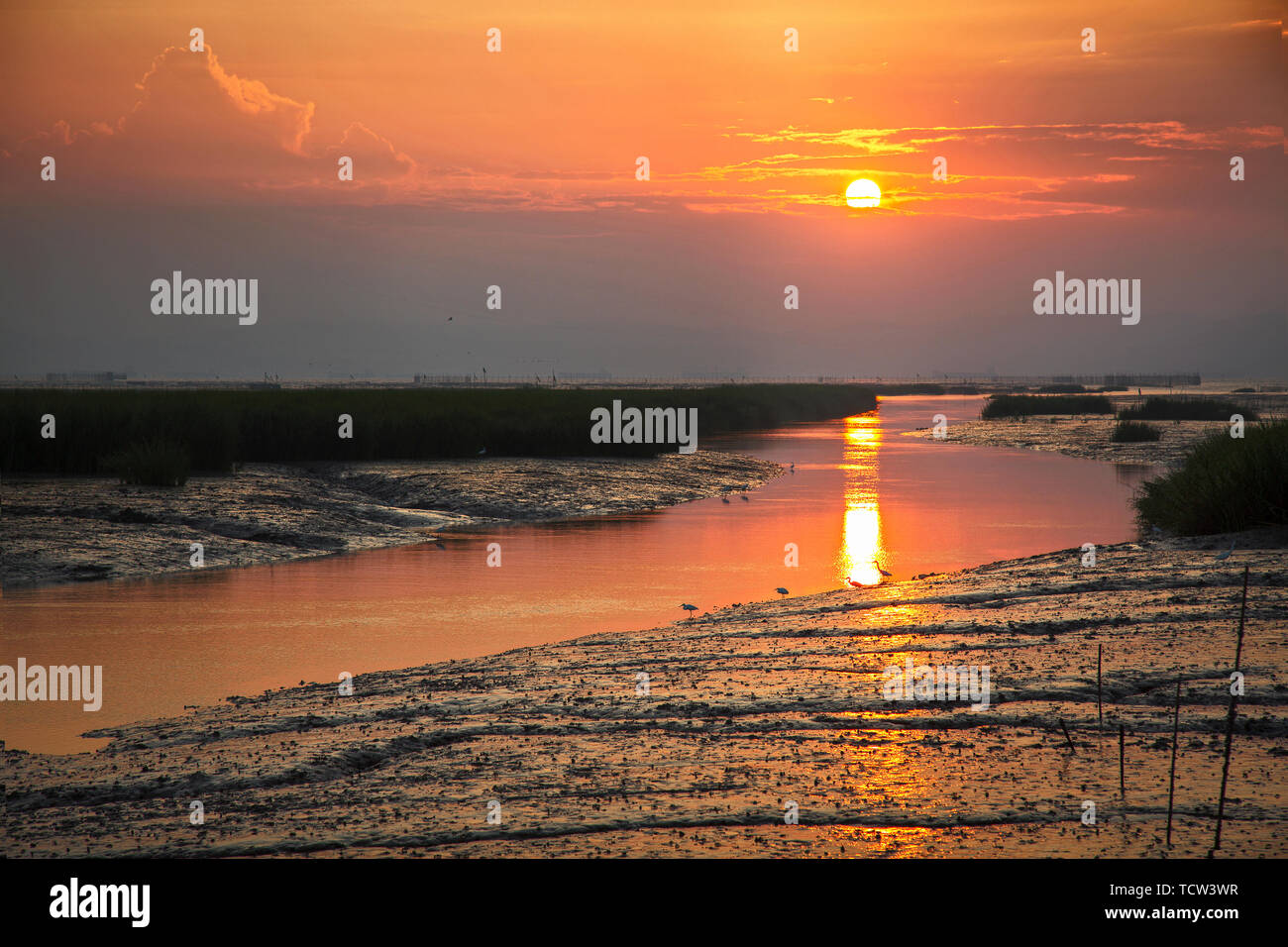 Yueqing hi-res stock photography and images - Alamy
