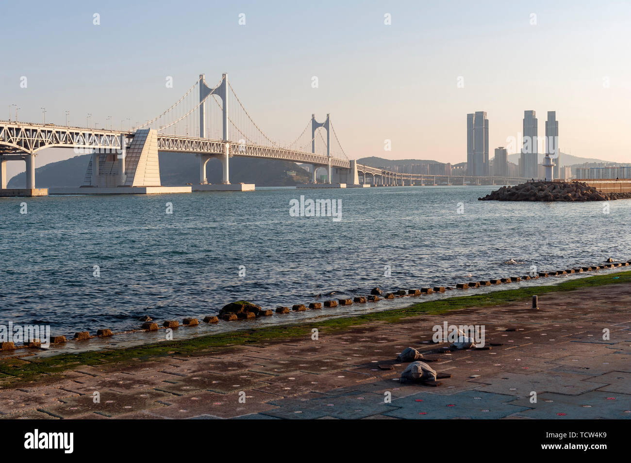 Scenic view of Busan Gwangandaegyo Bridge (Diamond Bridge), a ...