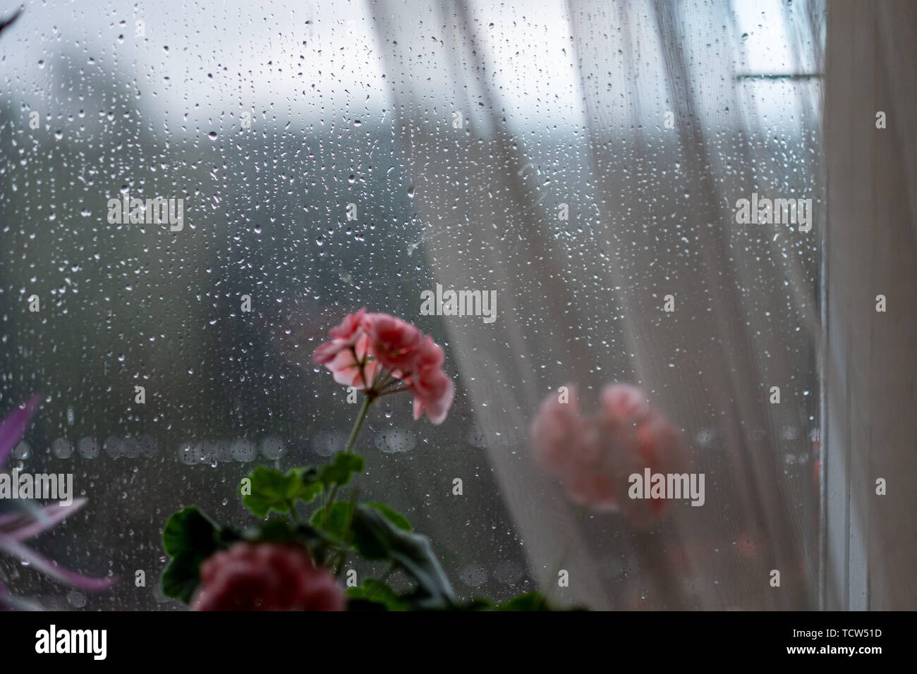 rain drops on window glass. view from inside out Stock Photo - Alamy