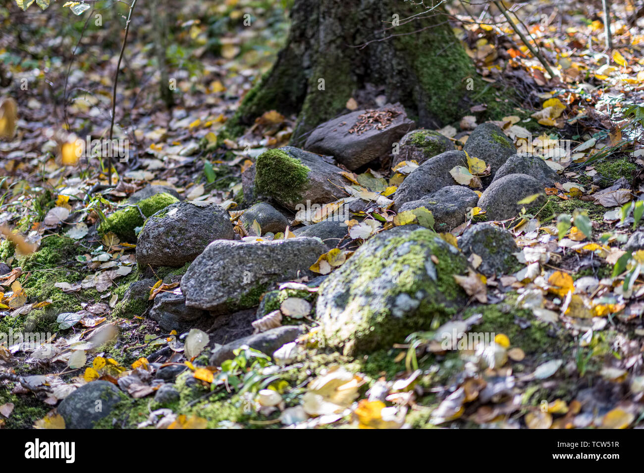 large rock in sand in countryside, isolated stone Stock Photo - Alamy