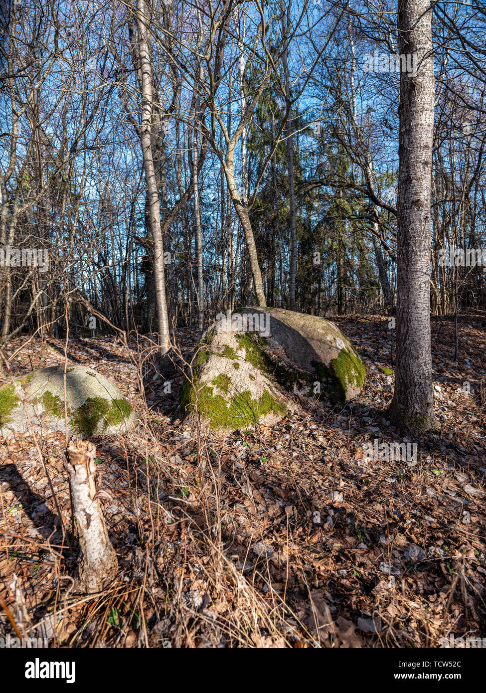 large rock in sand in countryside, isolated stone Stock Photo - Alamy