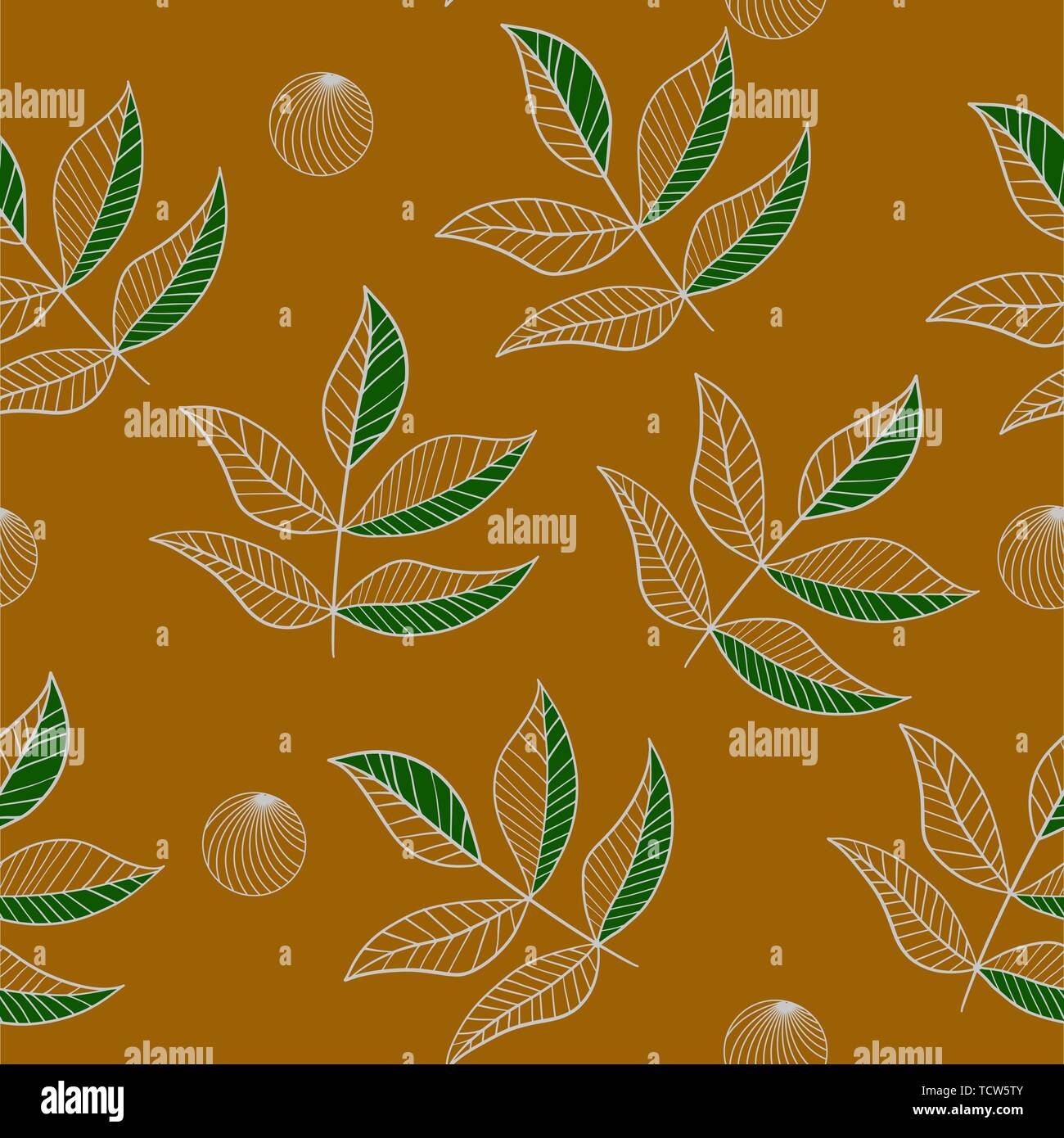 Turmeric Plant Illustration Stock Photos & Turmeric Plant Illustration ...