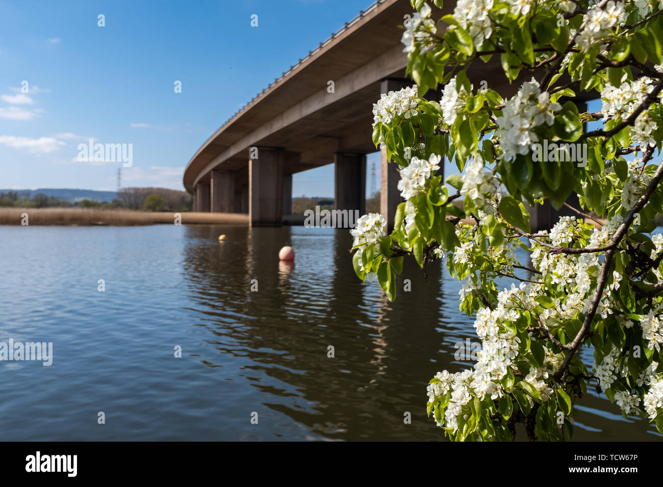 M5 bridge hi-res stock photography and images - Alamy