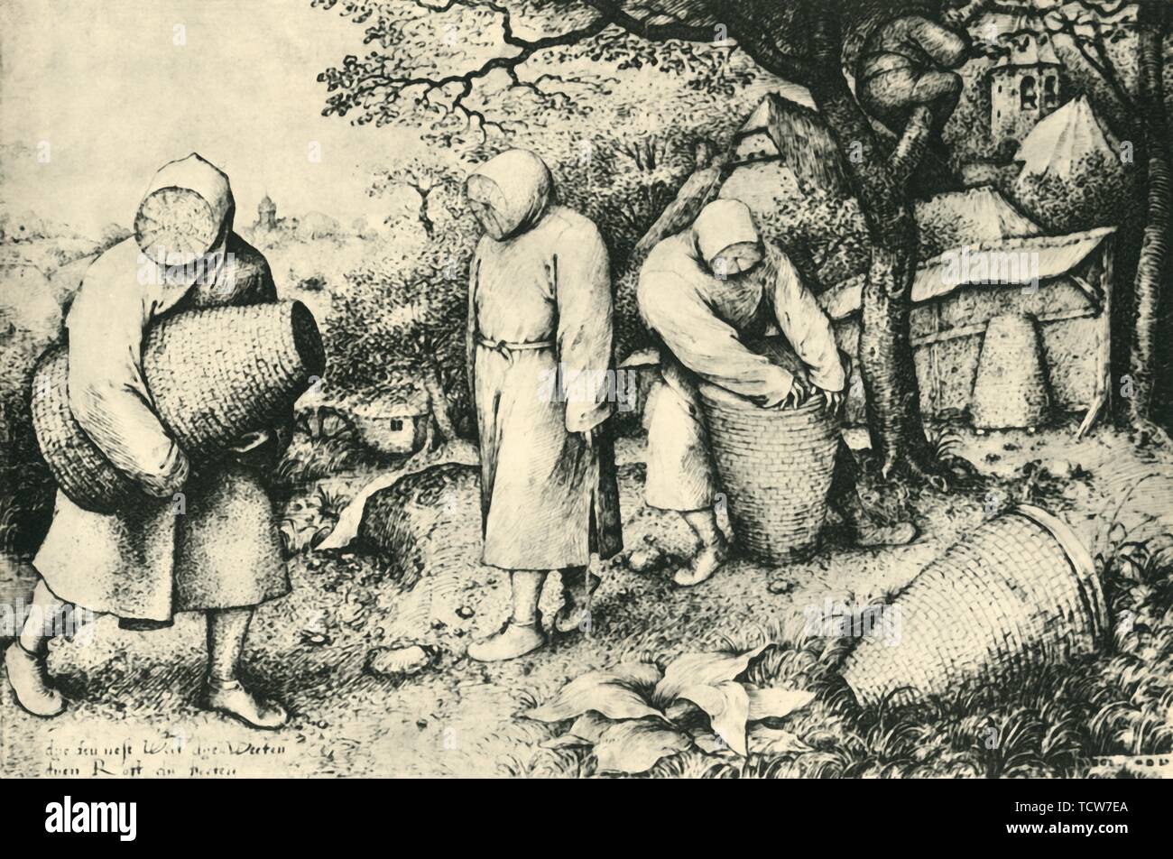Pieter bruegel the elder bee hi-res stock photography and images - Alamy