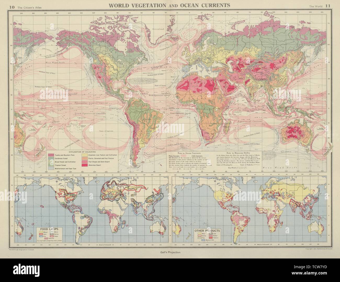 WORLD. Vegetation. Ocean Currents. Food crops. Agricultural commodities ...
