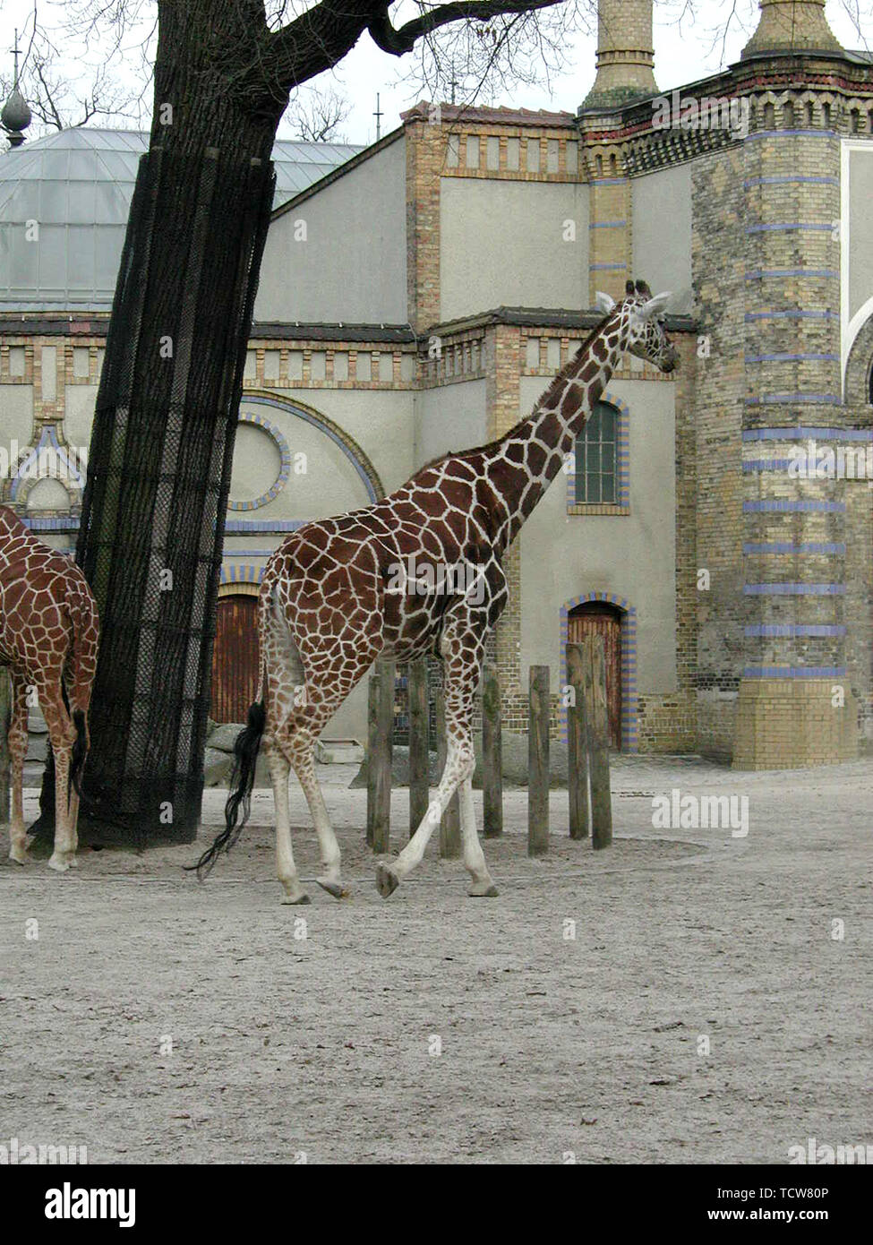 Zoo berlin on march hi-res stock photography and images - Alamy