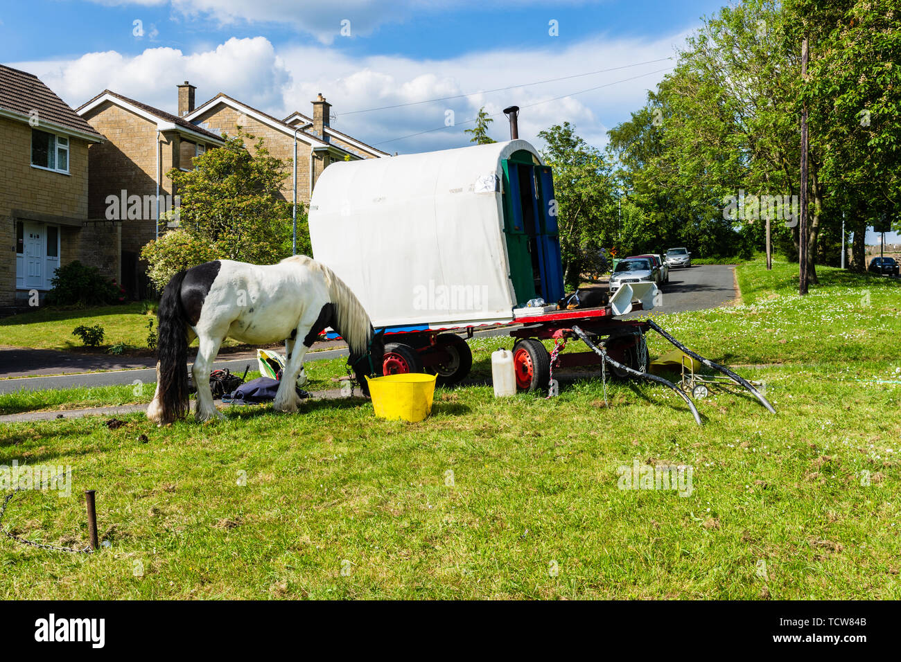 Gypsy Dog High Resolution Stock Photography and Images - Alamy