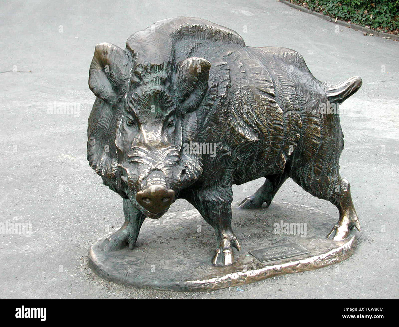 Baby hippo zoo berlin hi-res stock photography and images - Alamy