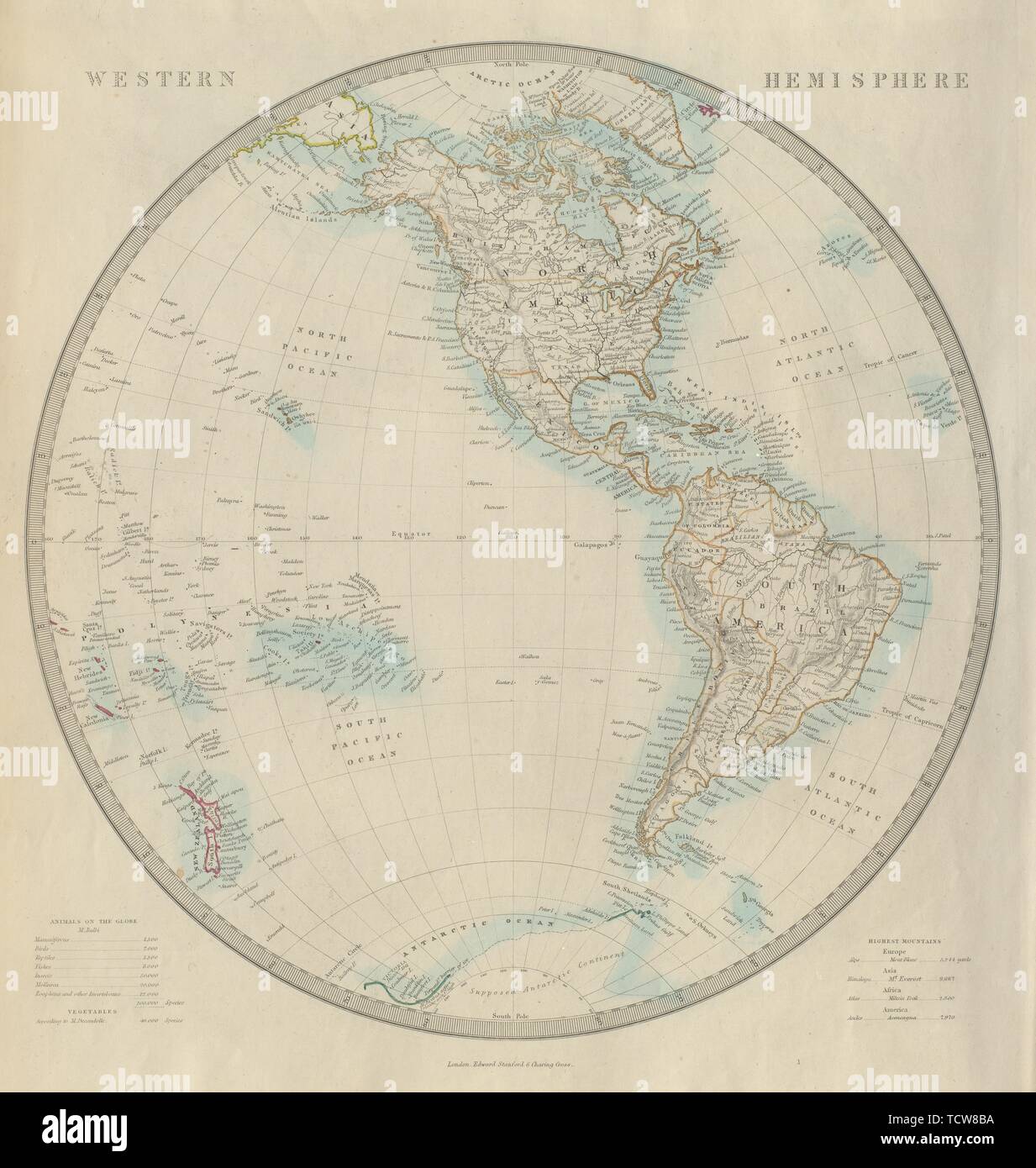 WESTERN HEMISPHERE. The Americas; Pacific Ocean; New Zealand. SDUK 1874 ...