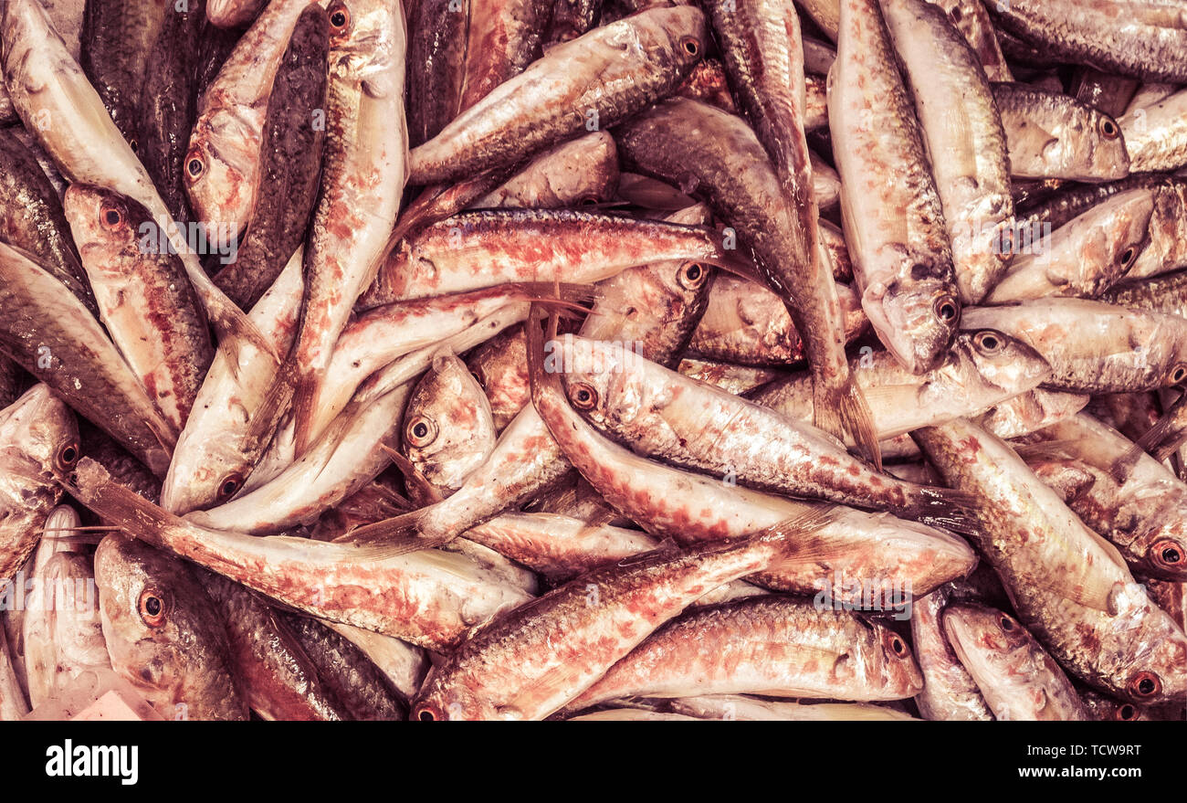 Angling products hi-res stock photography and images - Alamy