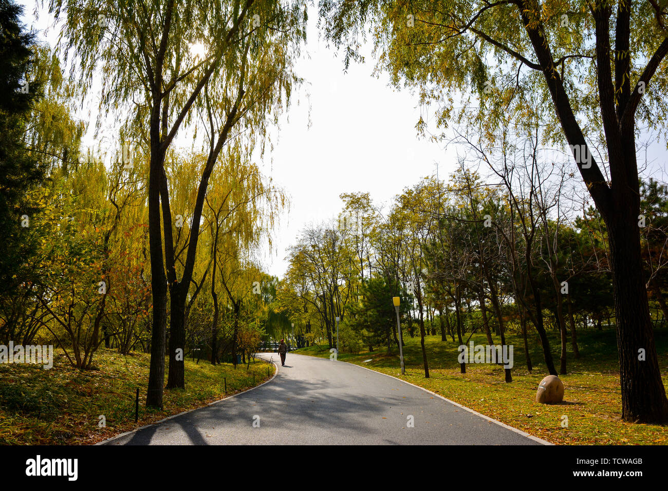 Autumn Color of AI Haidian Park Wisdom Park, Haidian District, Beijing ...