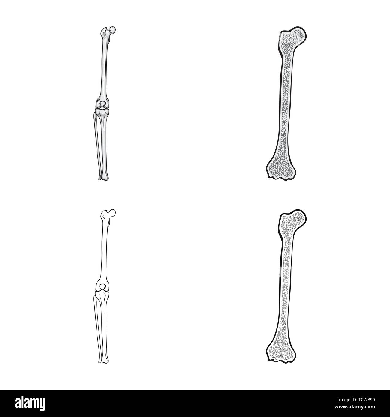 Vector illustration of medicine and clinic symbol. Set of medicine and ...