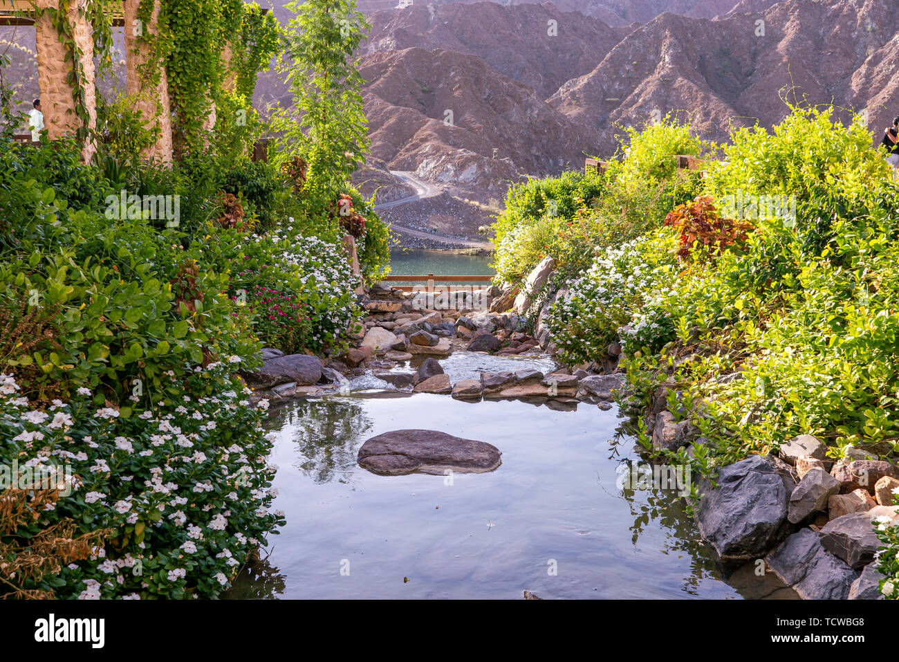 June 6, 2019 - Khor Fakkan, UAE: Garden around the water spring at Al ...