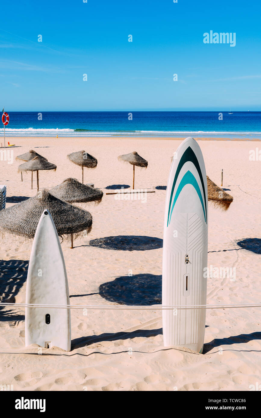 One Standup Paddle surfboard and a traditional surf board on an empty ...