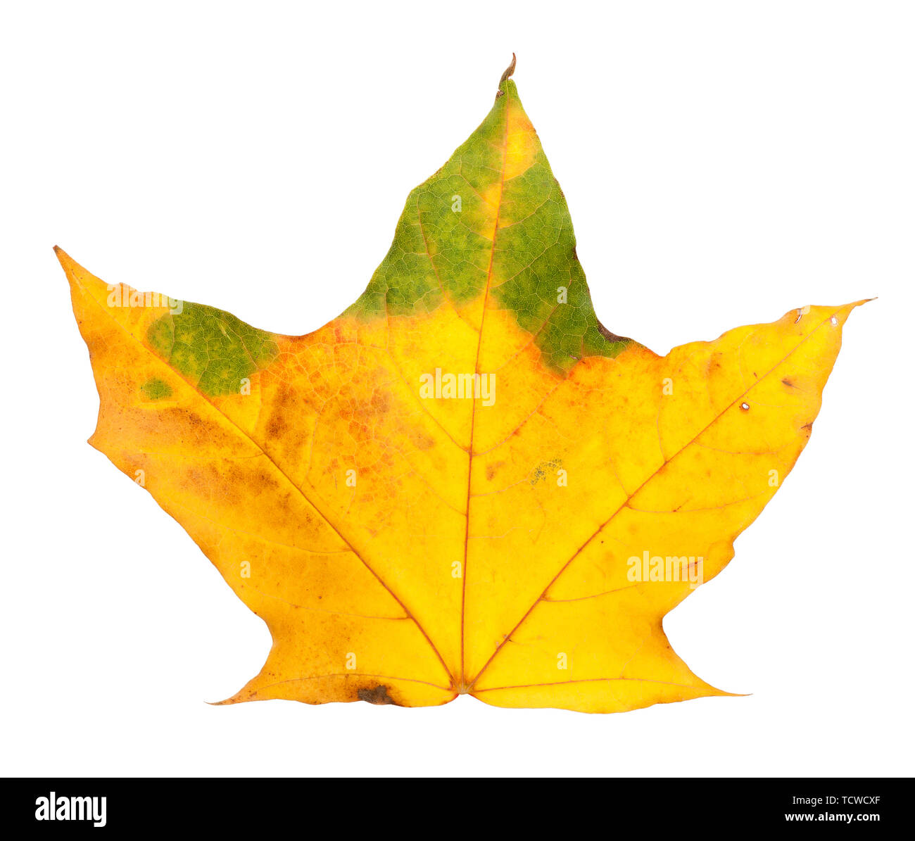 Autumn sale background colorful Cut Out Stock Images & Pictures - Alamy