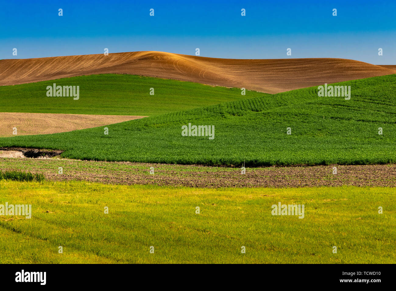 Rolling hills and grain field patterns of the Palouse, Washington, USA ...