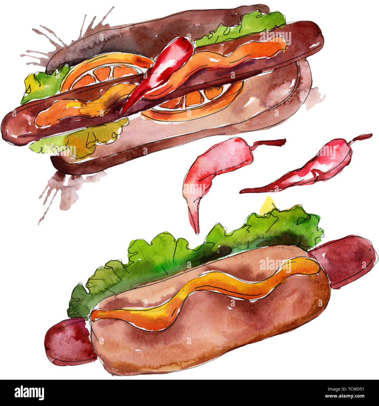 Hot dog fast food tasty food. Watercolor background illustration set ...