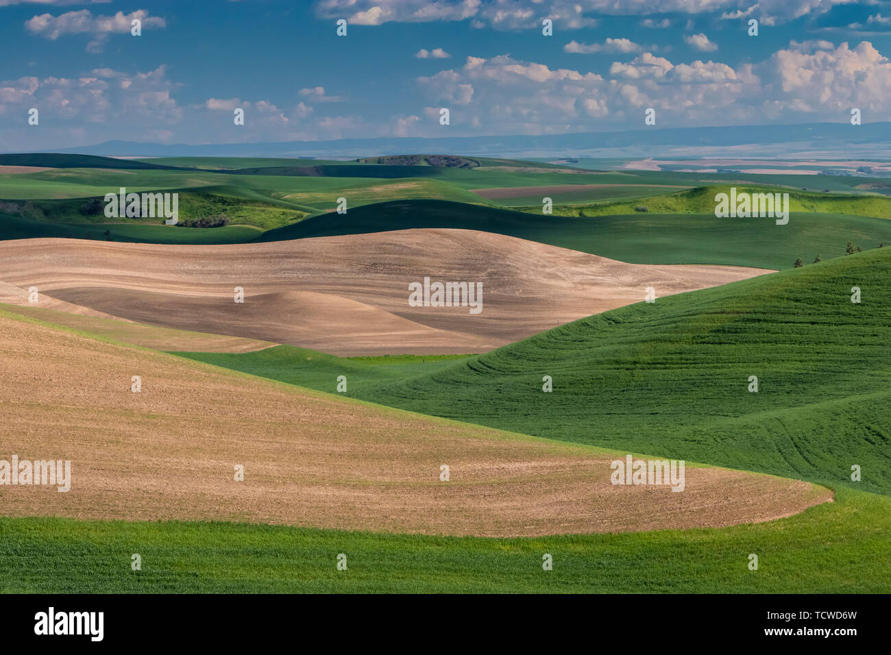 Rolling hills and grain field patterns of the Palouse, Washington, USA ...