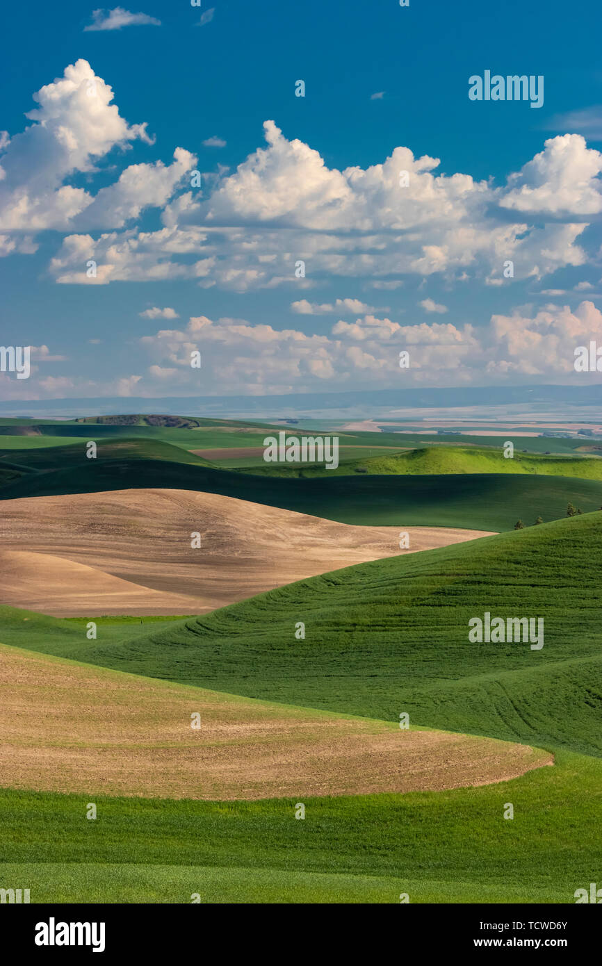 Rolling hills and grain field patterns of the Palouse, Washington, USA ...