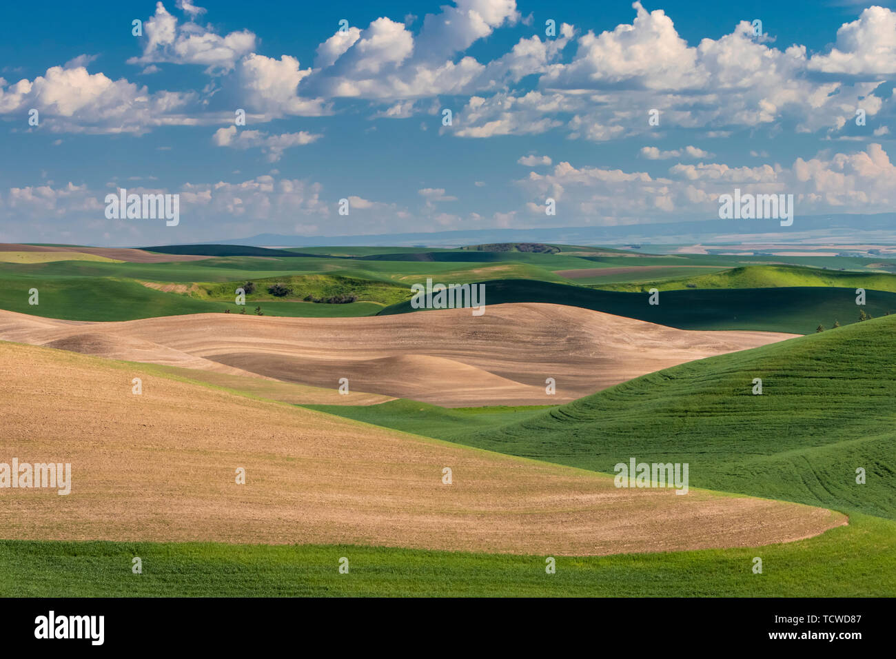Rolling hills and grain field patterns of the Palouse, Washington, USA ...