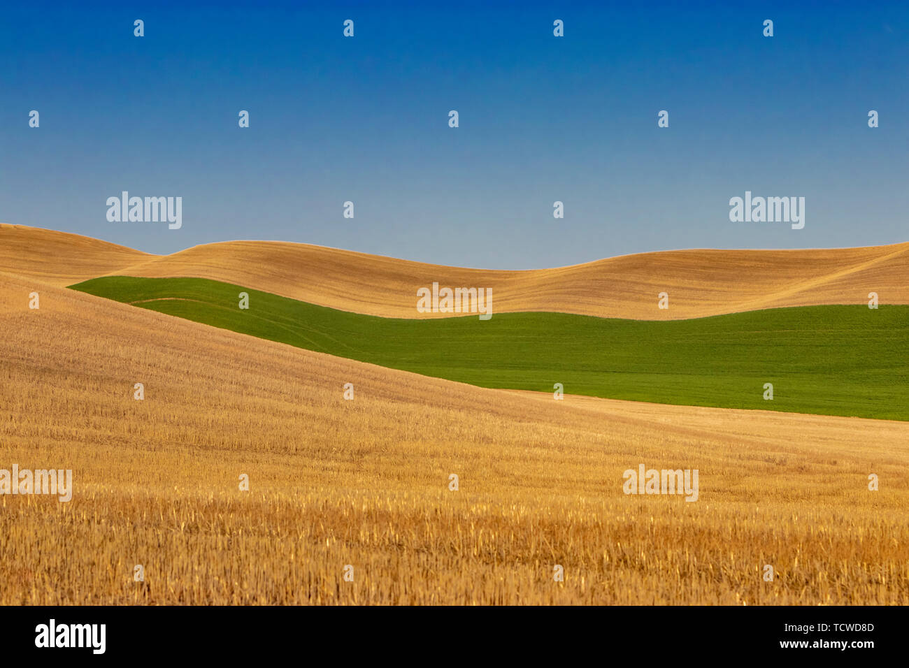 Rolling hills and grain field patterns of the Palouse, Washington, USA ...