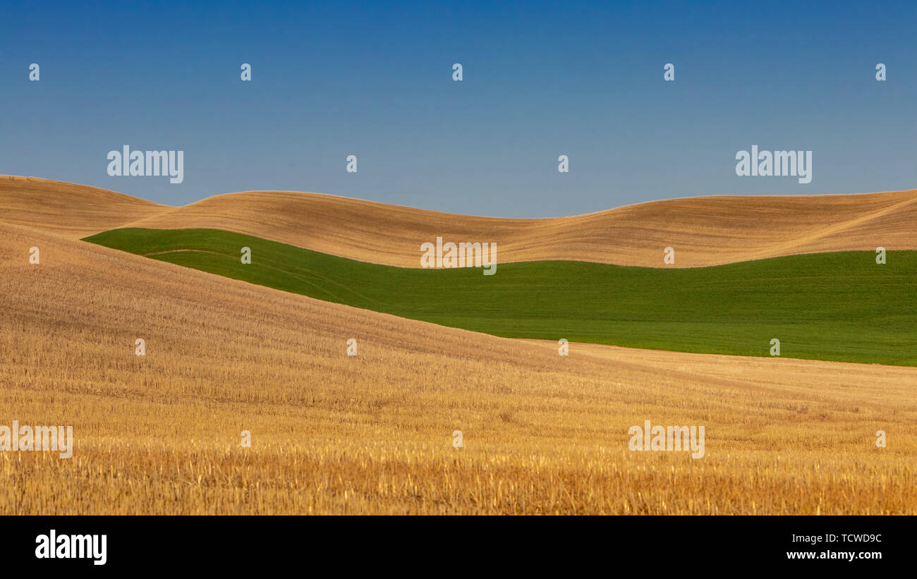 Rolling hills and grain field patterns of the Palouse, Washington, USA ...
