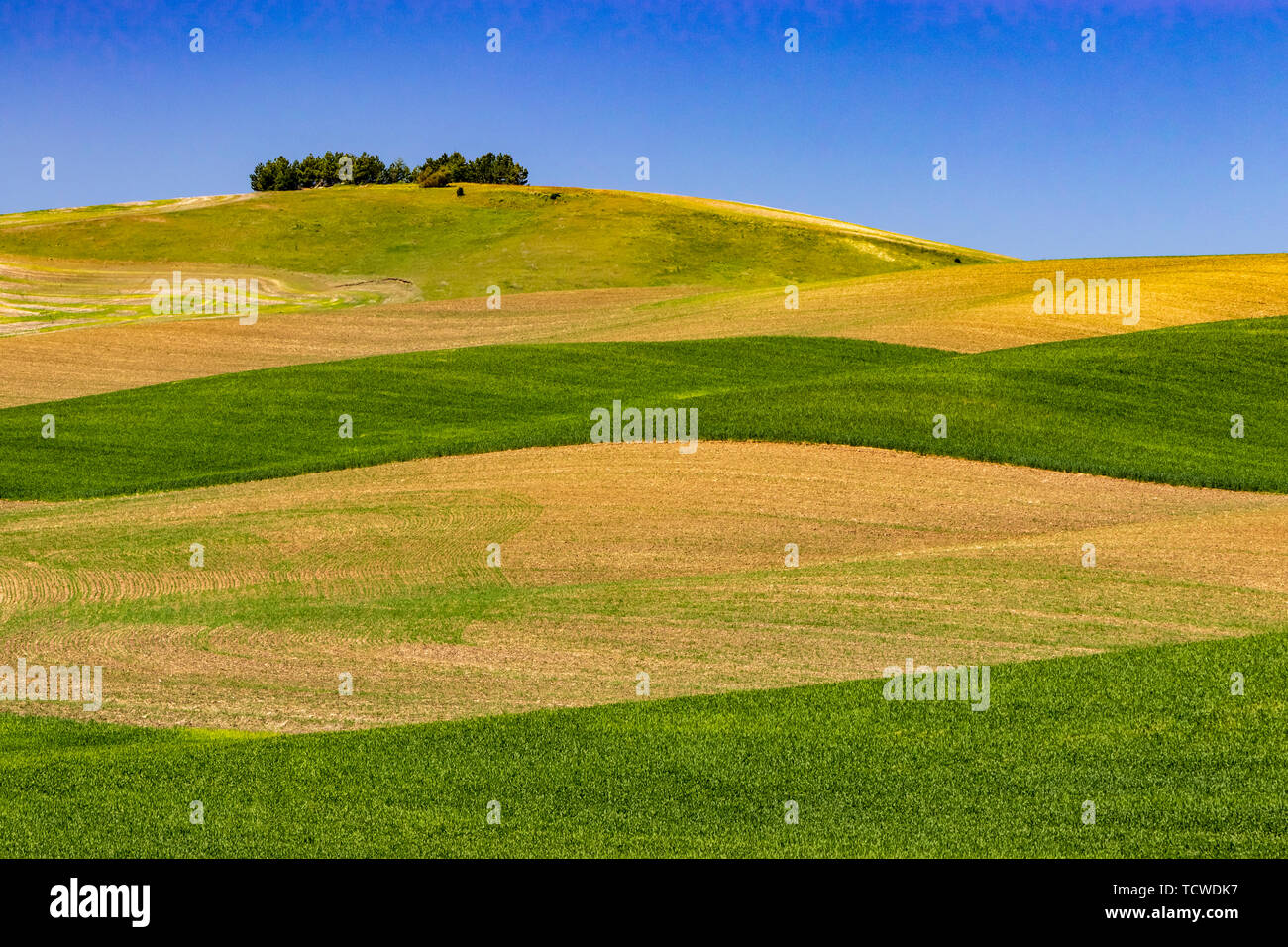 Rolling hills and grain field patterns of the Palouse, Washington, USA ...