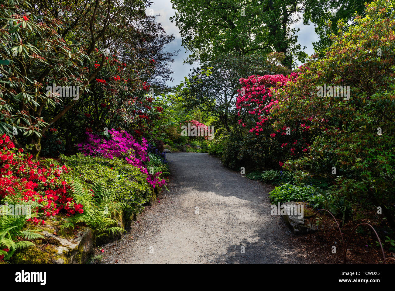 Beautiful Garden with blooming trees during spring time Stock Photo - Alamy