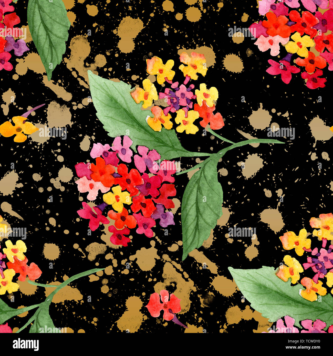 Red lantana floral botanical flowers. Wild spring leaf wildflower ...