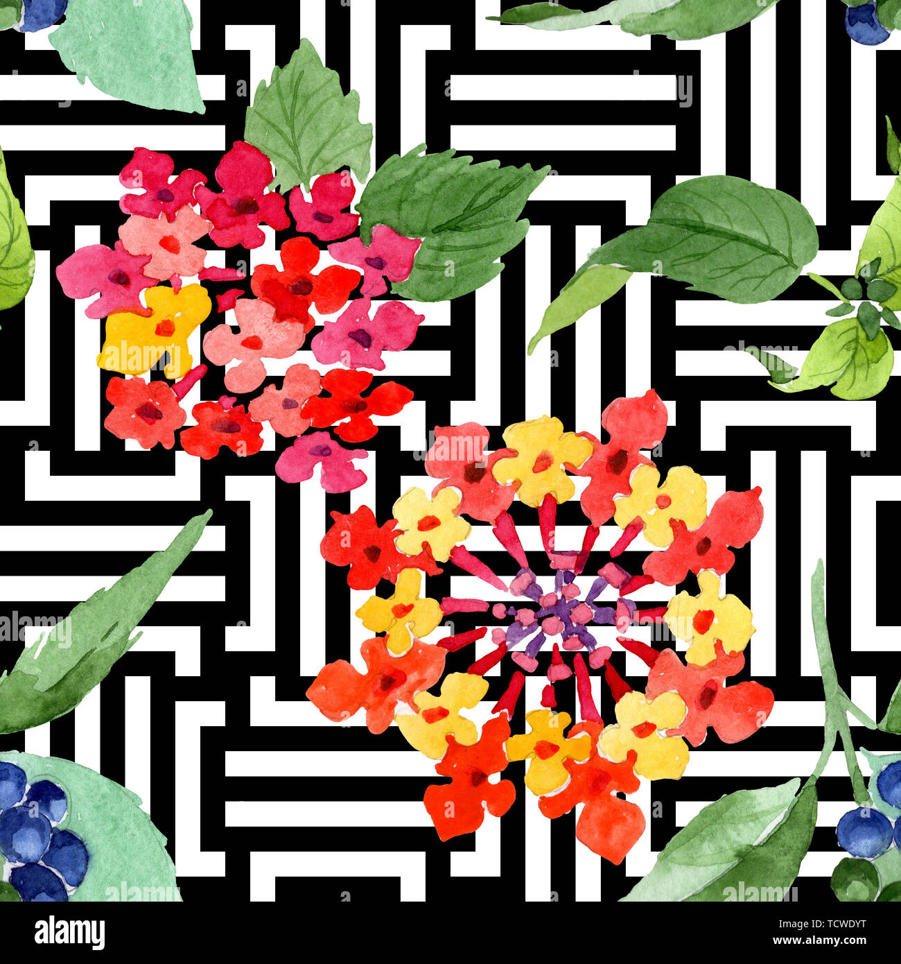 Red lantana floral botanical flowers. Wild spring leaf wildflower ...