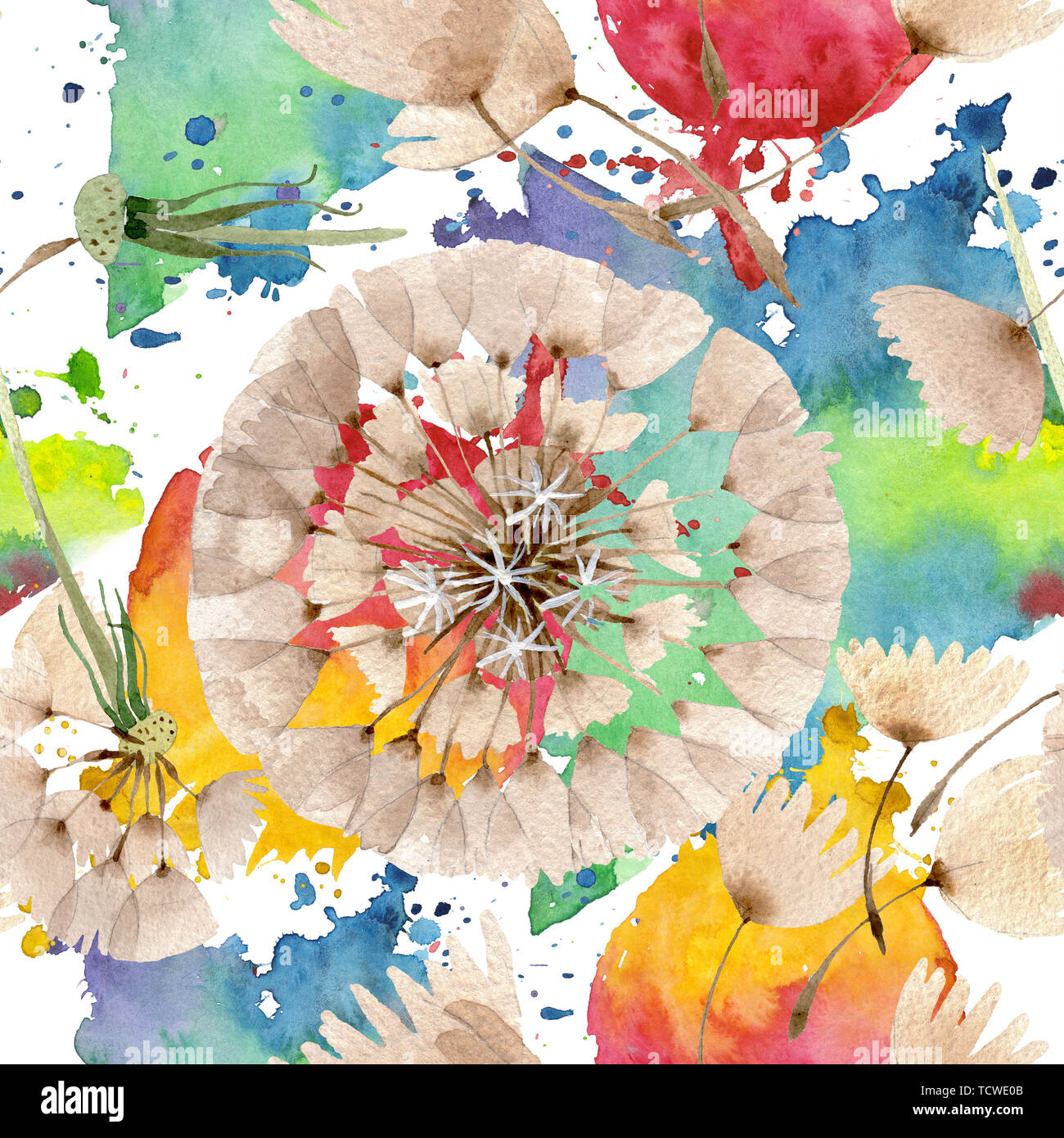 Dandelion blowball with seeds. Watercolor background illustration set ...