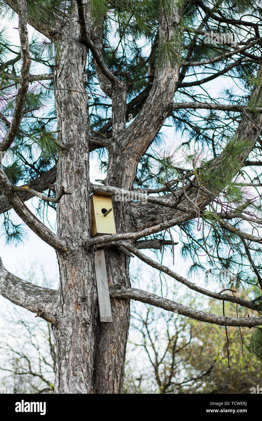Birdhouse hanging on pine hi-res stock photography and images - Alamy