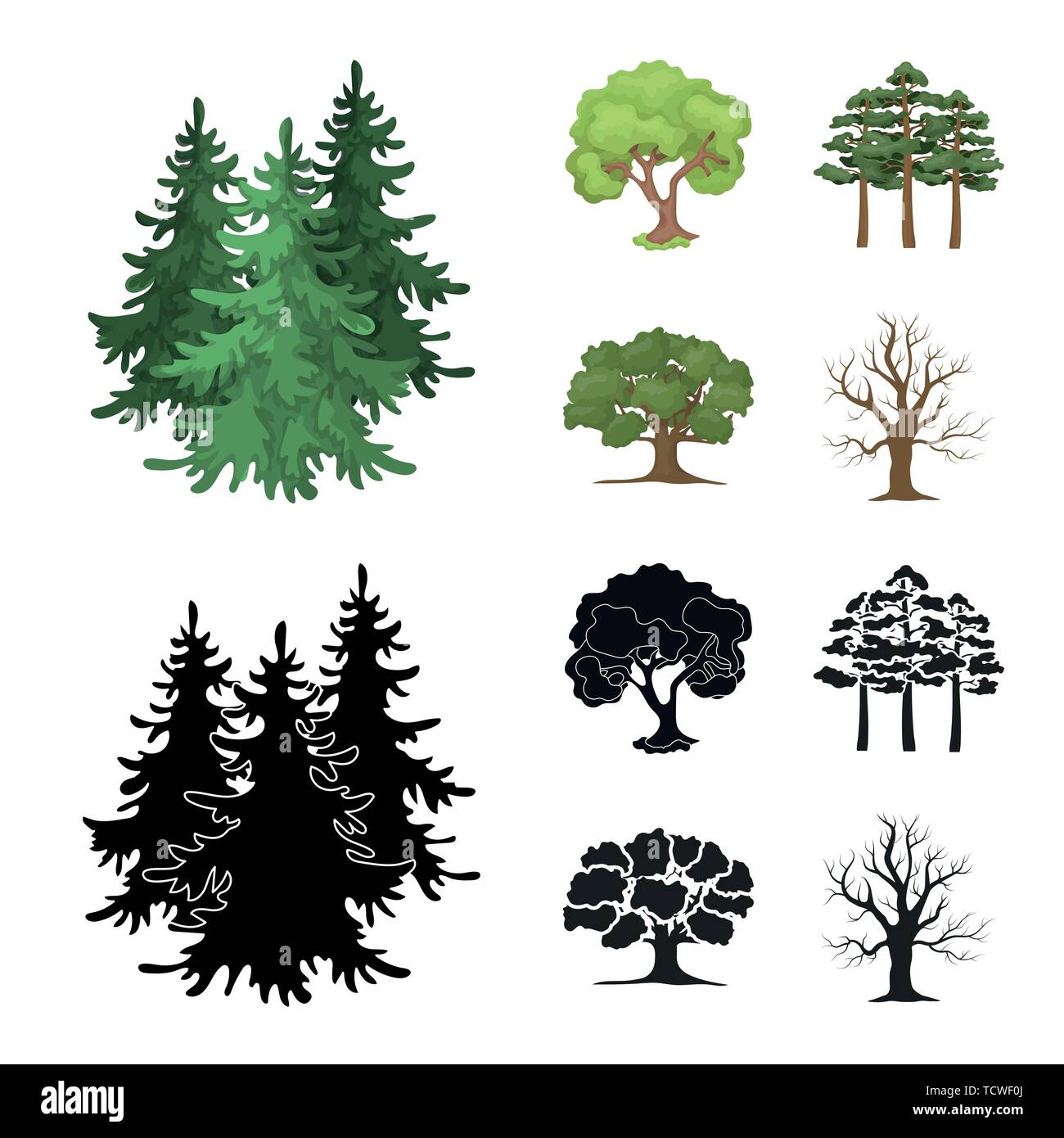 Vector illustration of tree and forest symbol. Set of tree and green ...