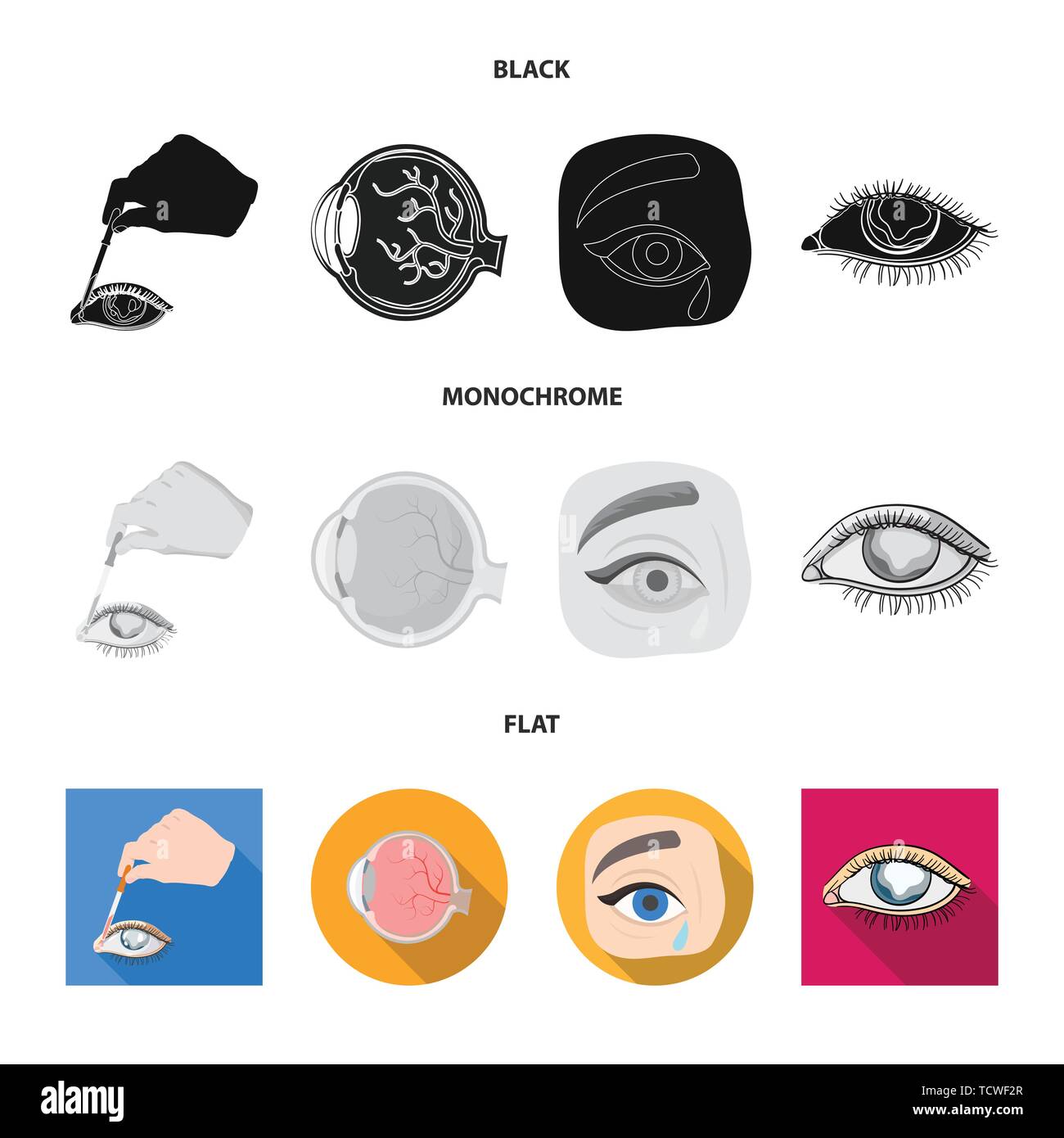 Eyebrow Threading Shapes Chart