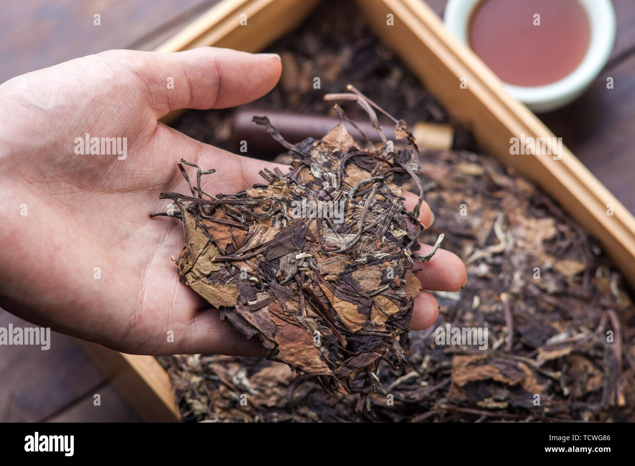 Old white tea Stock Photo - Alamy