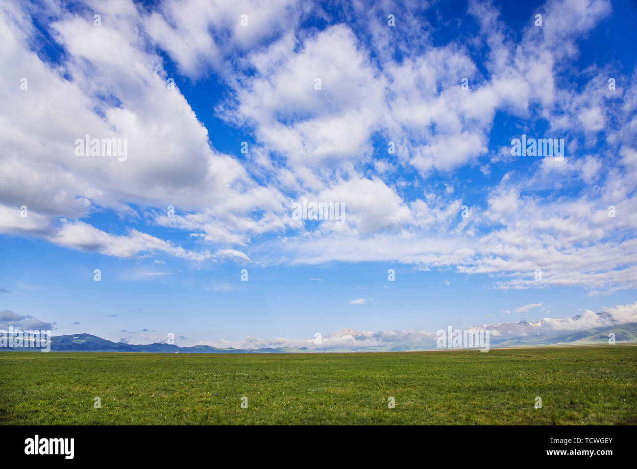 Clouds Prairie Grasslands High Resolution Stock Photography and Images ...