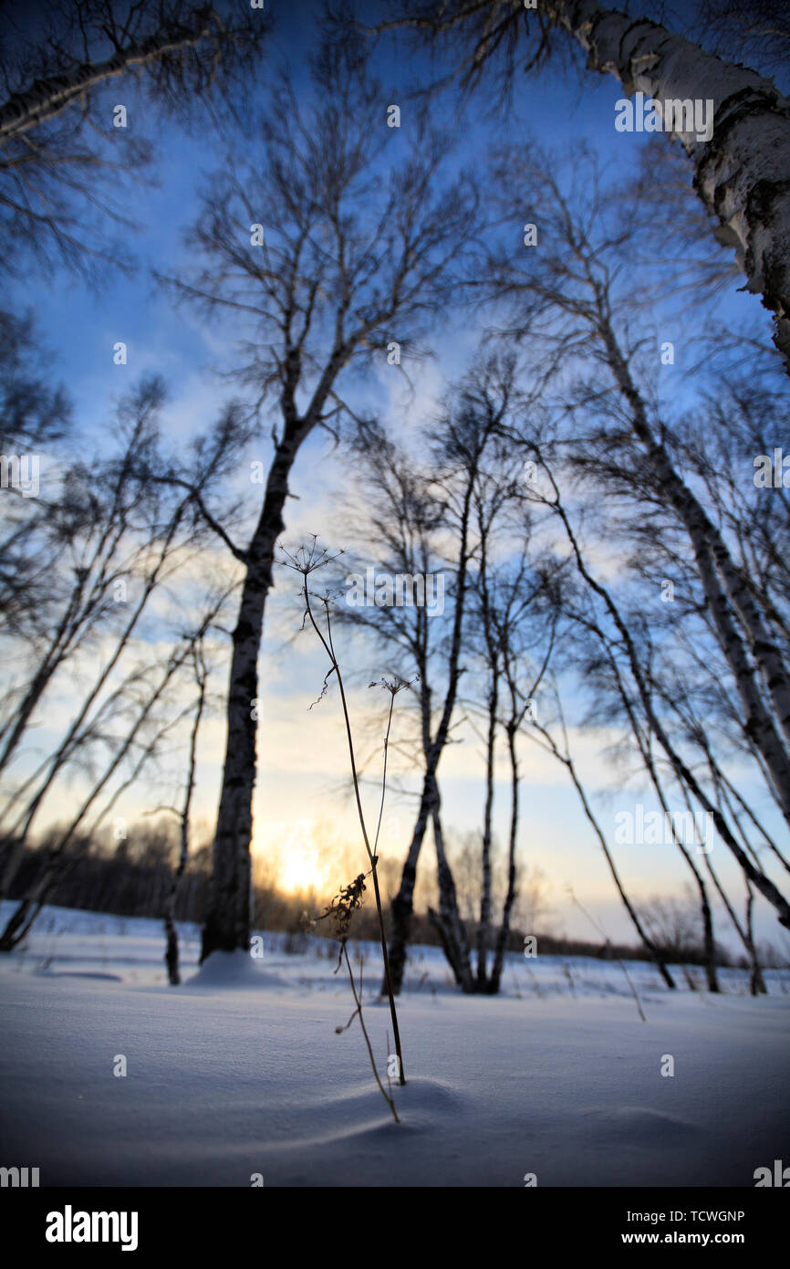 Xing'an city hi-res stock photography and images - Alamy