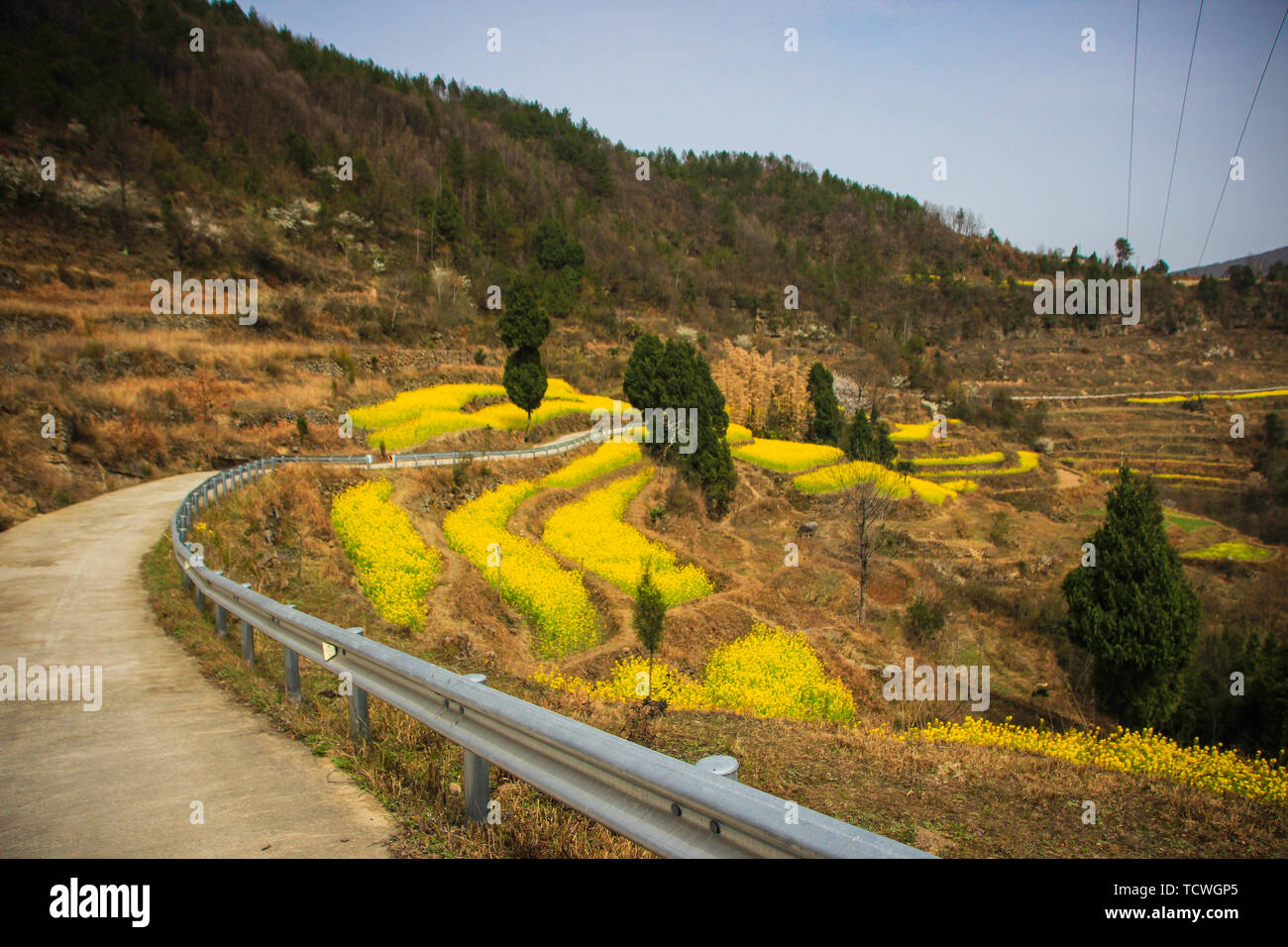 Photographer: Hu Wenkai Stock Photo - Alamy