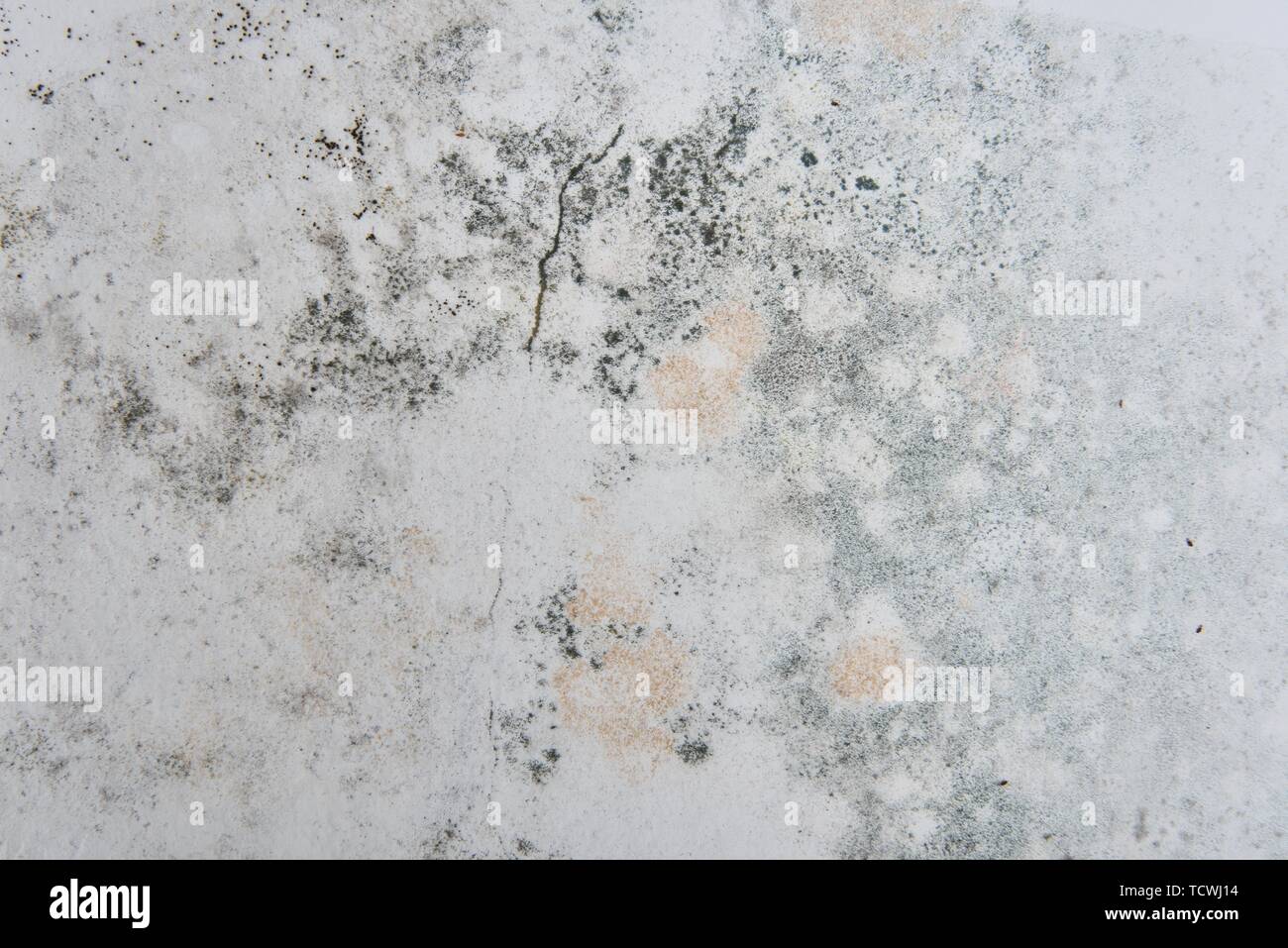 Dirty, moldy walls Stock Photo - Alamy