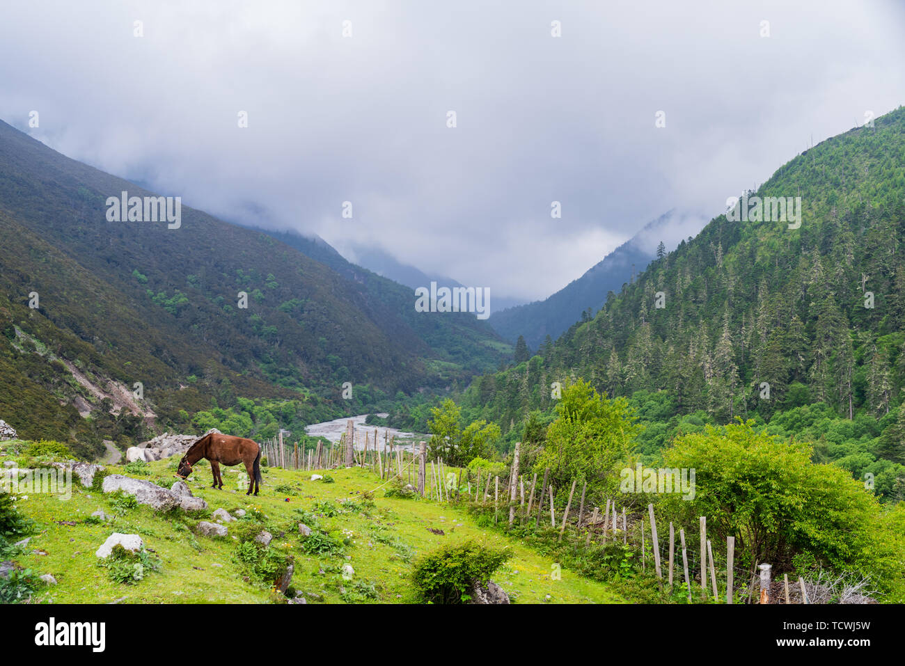 Gonga Snow Mountain Ring Line hikes scenery along the way Stock Photo ...