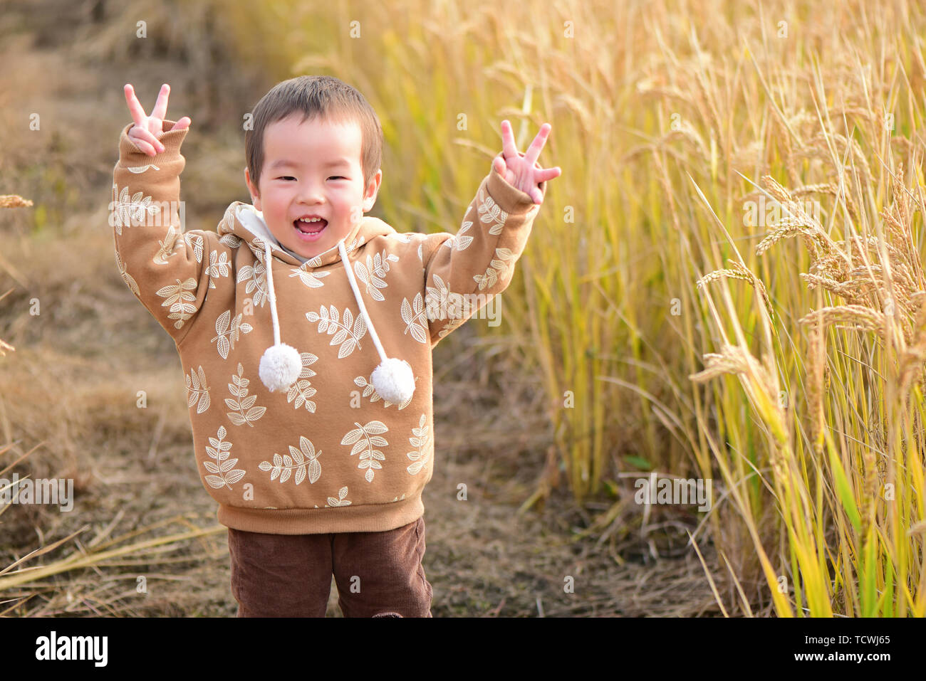 Happy little boy in the rice field Stock Photo - Alamy
