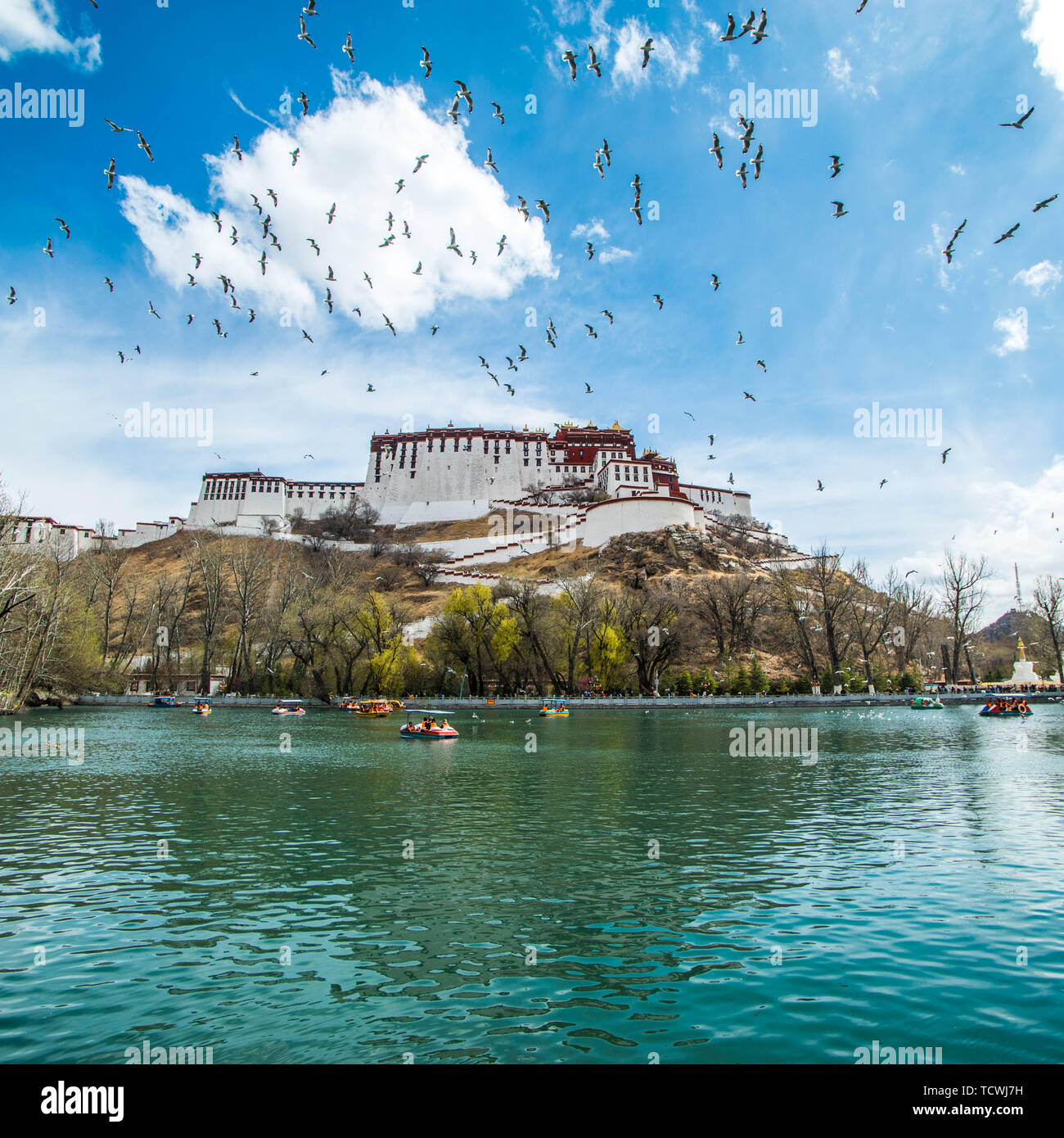 Ancient potala palace and lhasa scenery and scenery buddhism religion ...