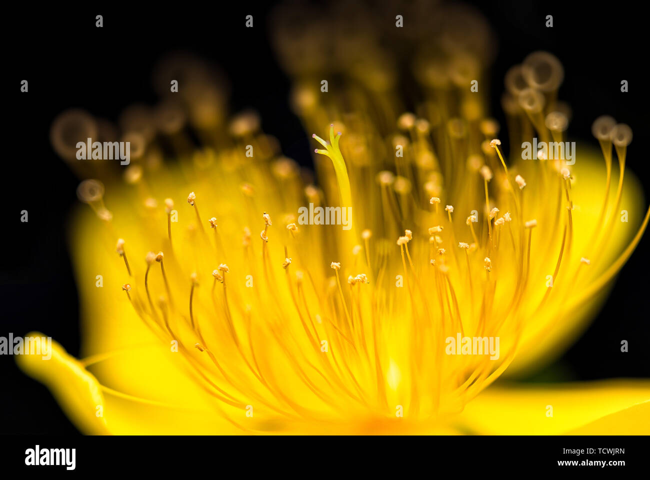 Into the wind Stock Photo - Alamy