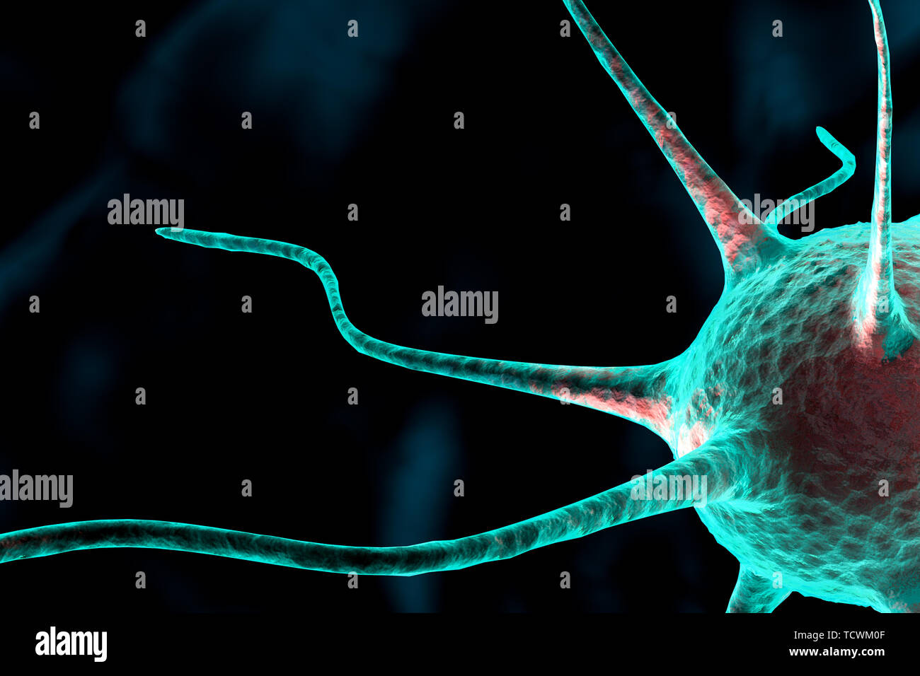 Nerve cell synapse hi-res stock photography and images - Alamy